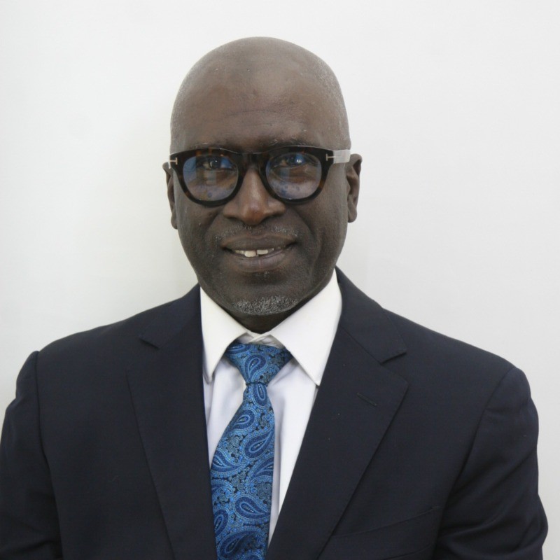 À Propos | MLK Global Strategies | Dr Mountaga Diagne
